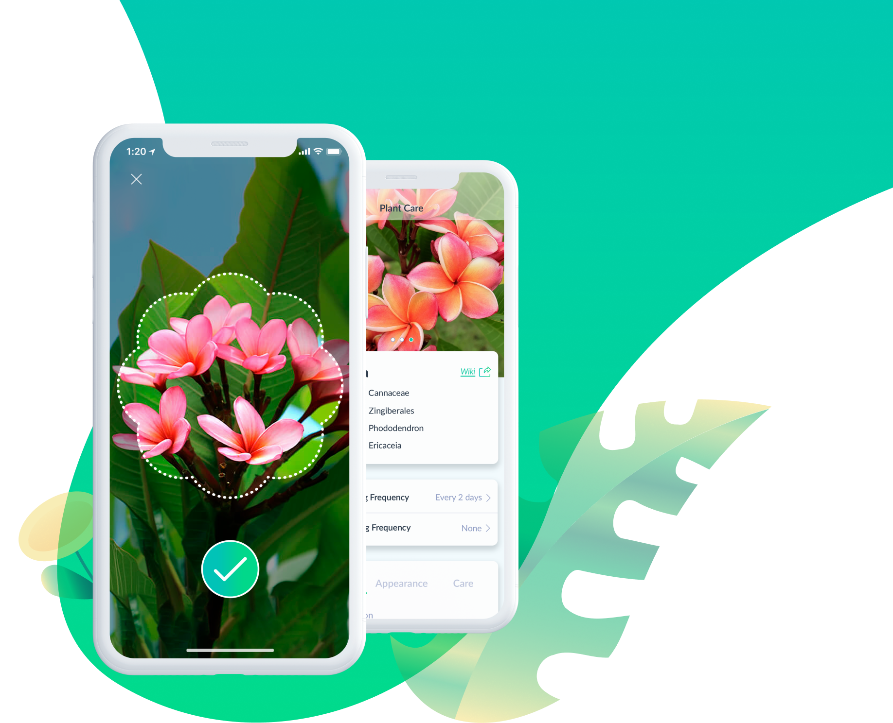 Plant Identification App PlantSpot plant-identification-app-plantspot